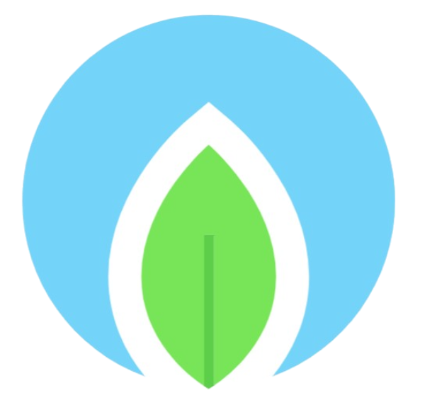 About Us | RK Infotech Solutions